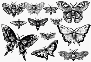 Variety of moths style flash sheet tattoo idea | TattoosAI