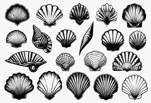 Variety of shell shapes flash sheet tattoo idea | TattoosAI