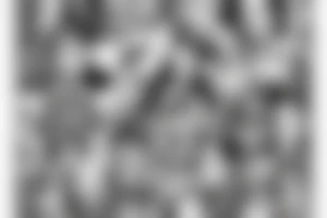 2k tatoo Hitler tattoo idea | TattoosAI